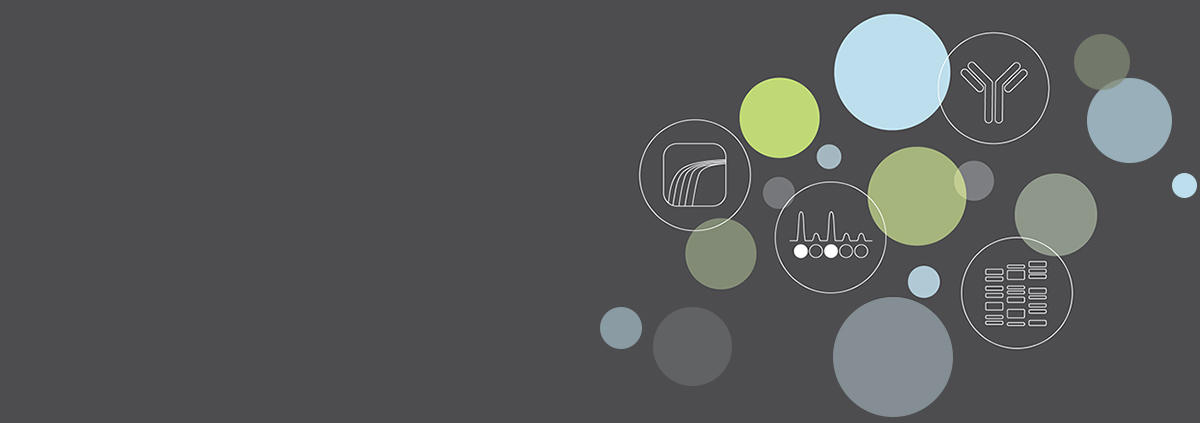 Homepage Bio Rad Laboratories