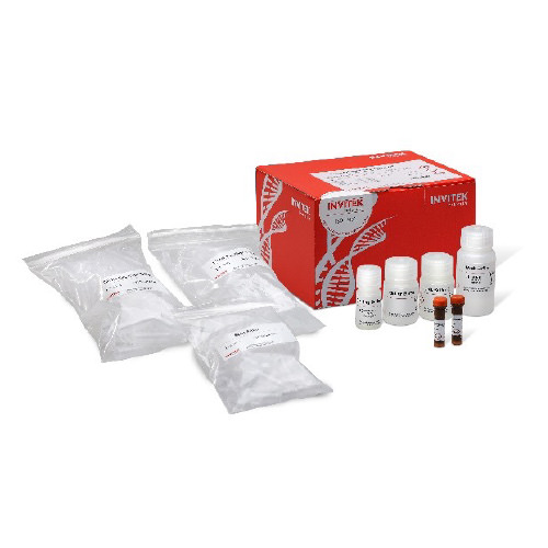 Invisorb Spin Tissue Mini Kit #12019412 | Bio-Rad