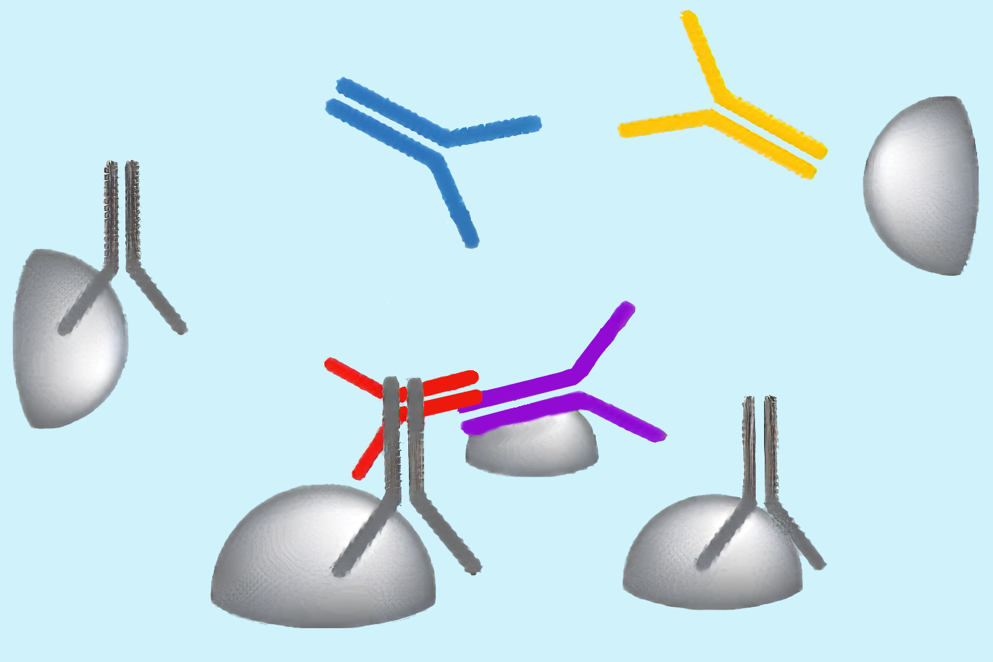 Immunology | Bio-Rad