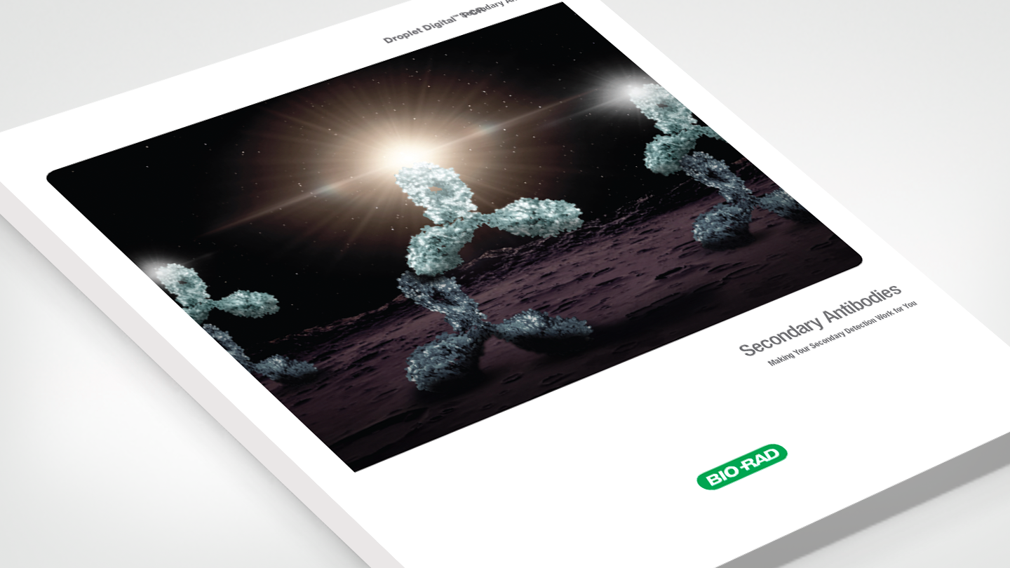 Research Antibodies | Bio-Rad