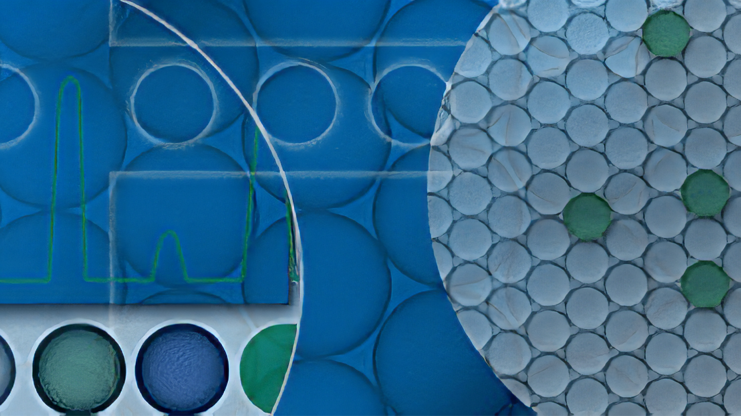 Pathogen Detection — Bio Rad