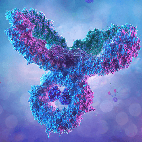 Meet the New Wave of Therapeutic Antibodies | Bio-Rad
