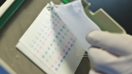 25% Off EveryBlot and Clarity ECL Substrates