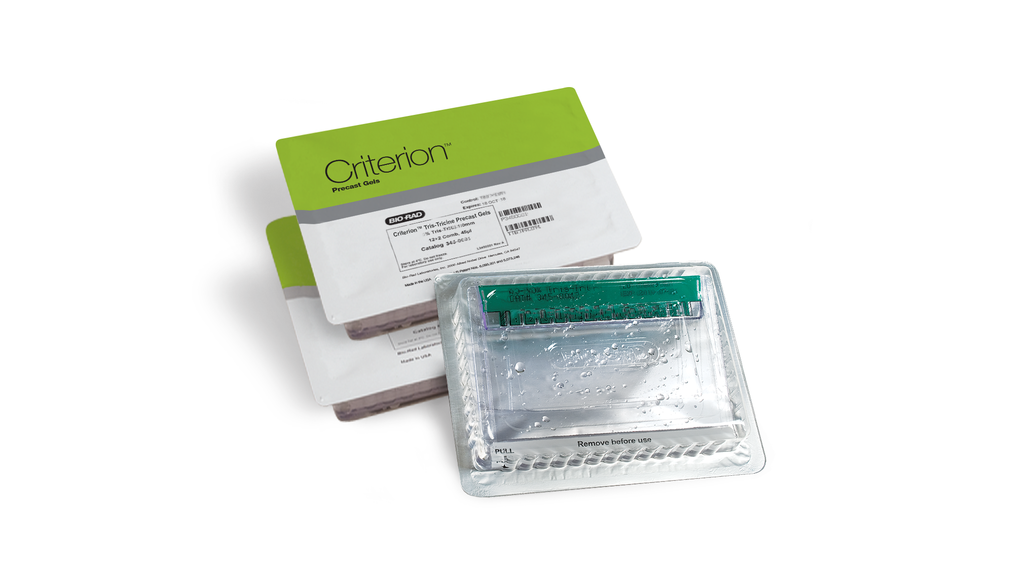 Criterion Tris-Tricine Precast Gels | Bio-Rad