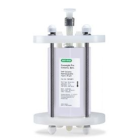 Foresight Pro Chromatography Column, 0.5 L CHT Ceramic Hydroxyapatite ...