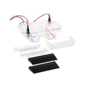 Wide Mini-Sub Cell GT Horizontal Electrophoresis System, 15 x 7 cm tray ...