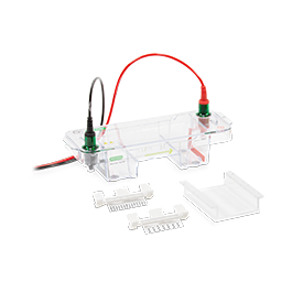 Mini-Sub Cell GT Horizontal Electrophoresis System, 7 x 10 cm tray ...