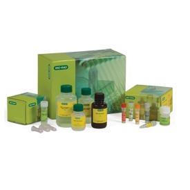 EpiQ™ Chromatin Analysis Kit #1725401 | Bio-Rad