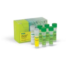 iTaq™ Universal SYBR® Green One-Step Kit, 500 x 20 µl rxns, 5 ml (5 x 1 ...
