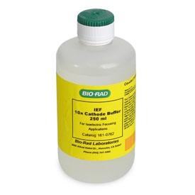 10x IEF Cathode Buffer, 250 ml #1610762 | Bio-Rad