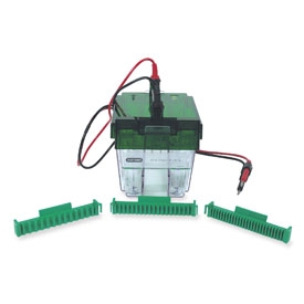 Criterion™ Cell #1656001 | Bio-Rad