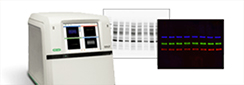 Leading Life Science Research & Clinical Diagnostics — Bio-Rad