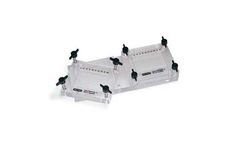 Mini-PROTEAN II Multiscreen Apparatus | Bio-Rad