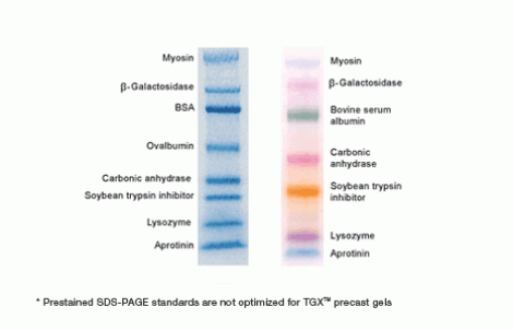 Prestained Natural Protein Standards | Bio-Rad