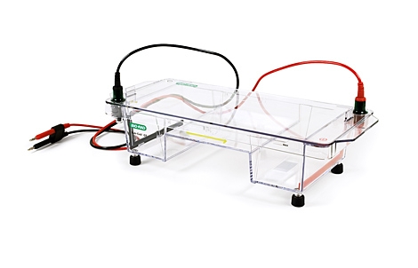 Sub-Cell GT Cell | Bio-Rad