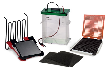 Trans-Blot® Plus Cell | Bio-Rad