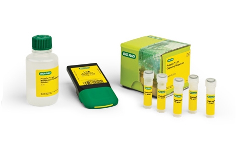 ProteOn™ Liposome Capturing Kit | Bio-Rad