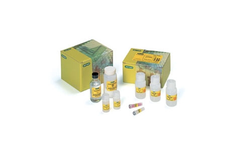 ReadyPrep™ Protein Extraction Kit (Membrane I) | Bio-Rad