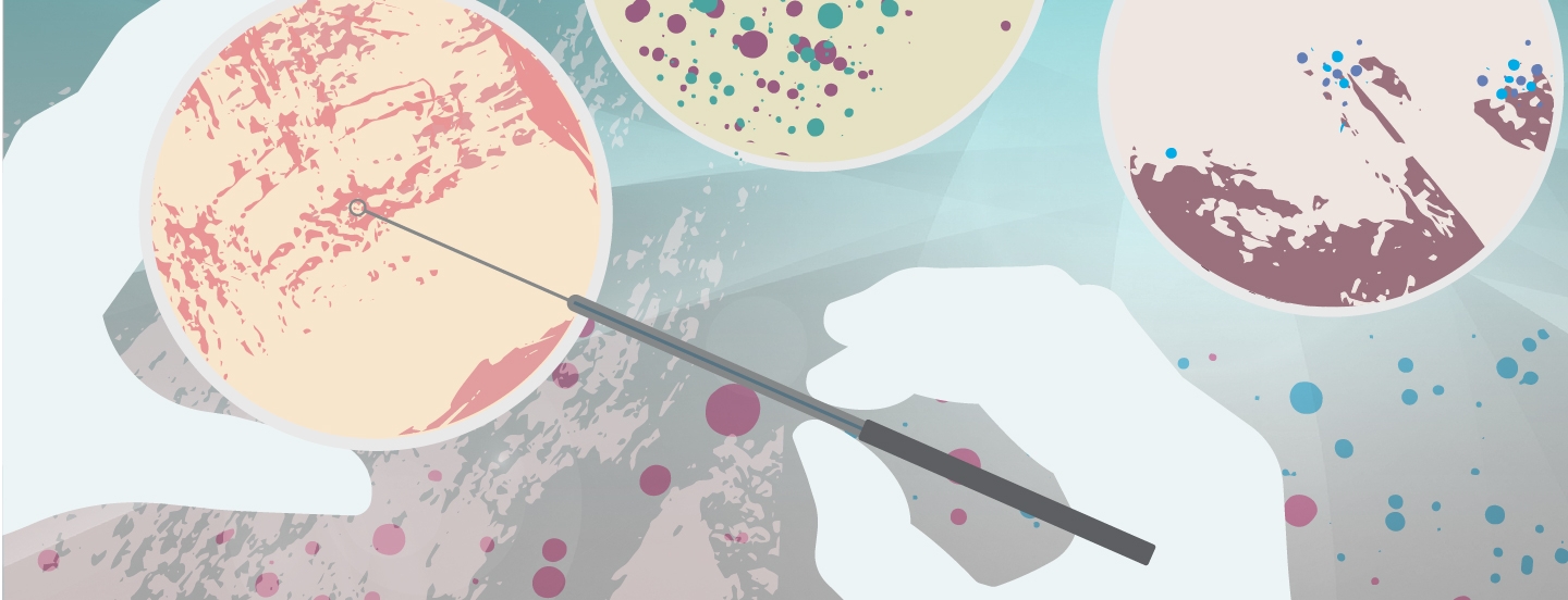 Bacteriology Testing Applications — Bio-Rad