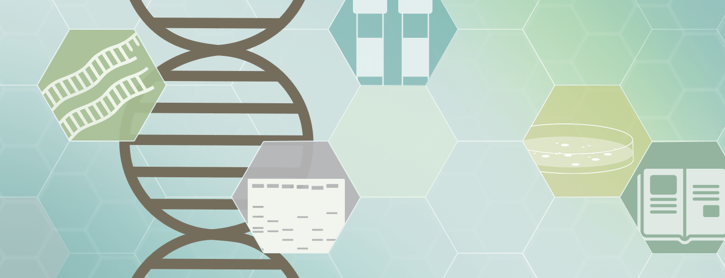 DNA, PCR & Agarose Gel Electrophoresis — Bio-Rad