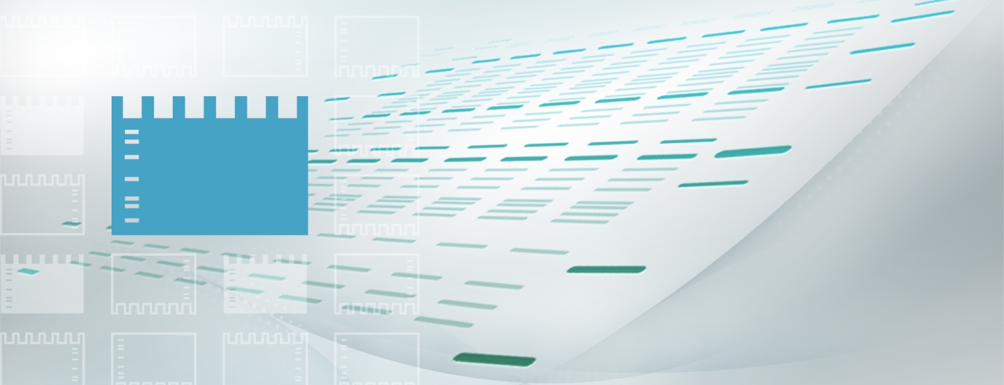 Protein Gels for Electrophoresis & Western Blot | Bio-Rad