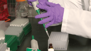 Tutorials | Bio-Rad
