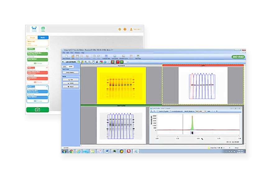 Image Lab Software | Bio-Rad