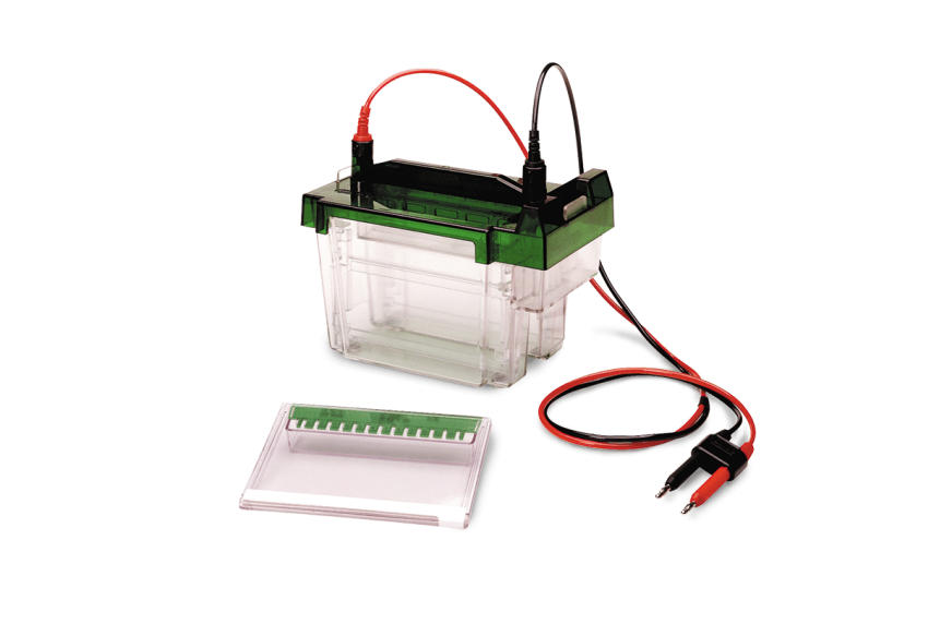 Criterion™ Vertical Electrophoresis Cell | Bio-Rad