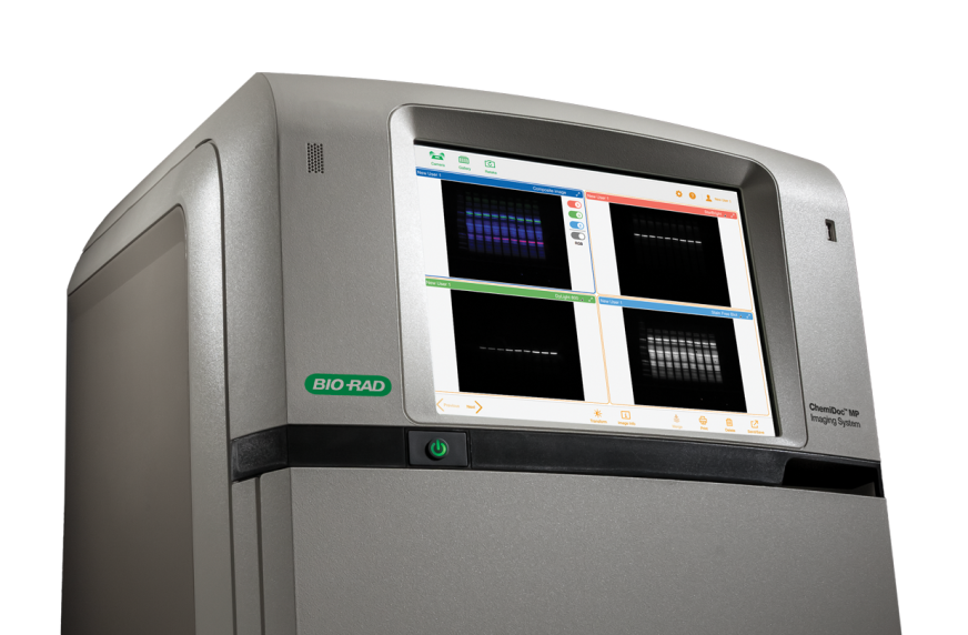 Image Lab Touch Software | Bio-Rad