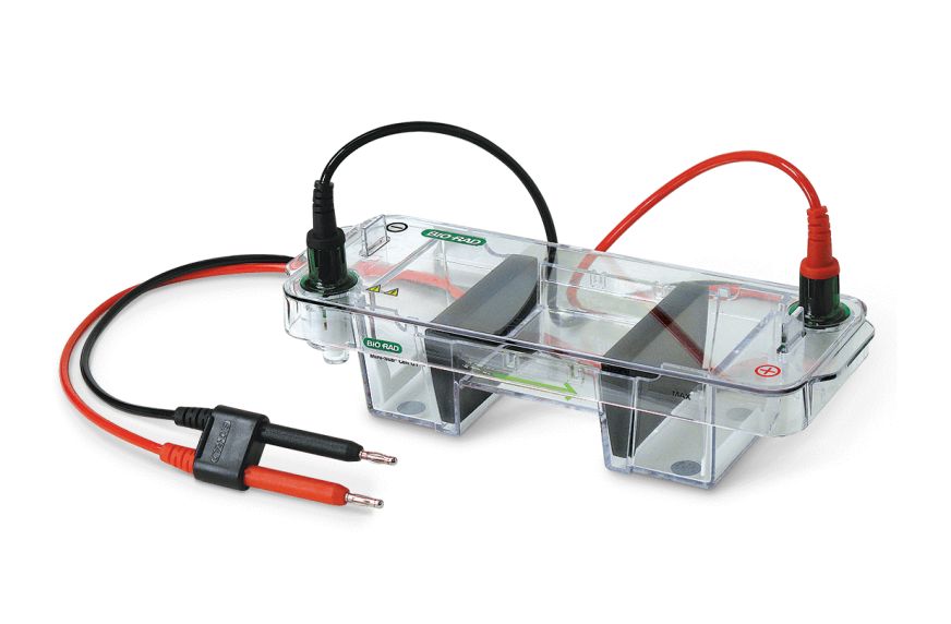 Mini-Sub Cell GT System for the Classroom | Bio-Rad
