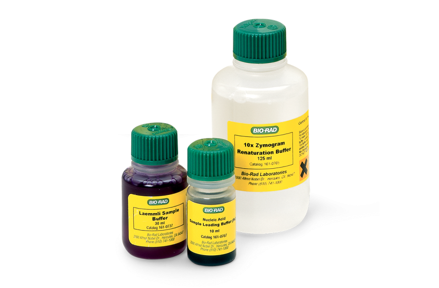 Sample Loading Buffers and Reagents | Bio-Rad