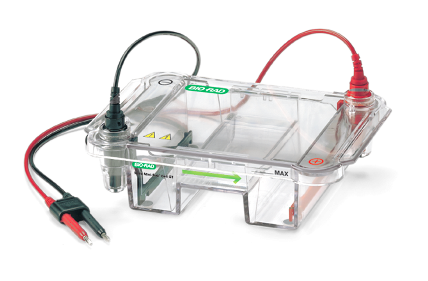 Wide Mini-Sub Cell GT Cell | Bio-Rad