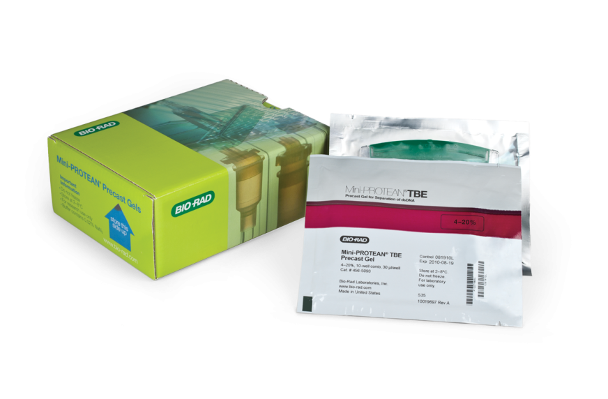 Mini-PROTEAN TBE Precast Gels — Bio-Rad