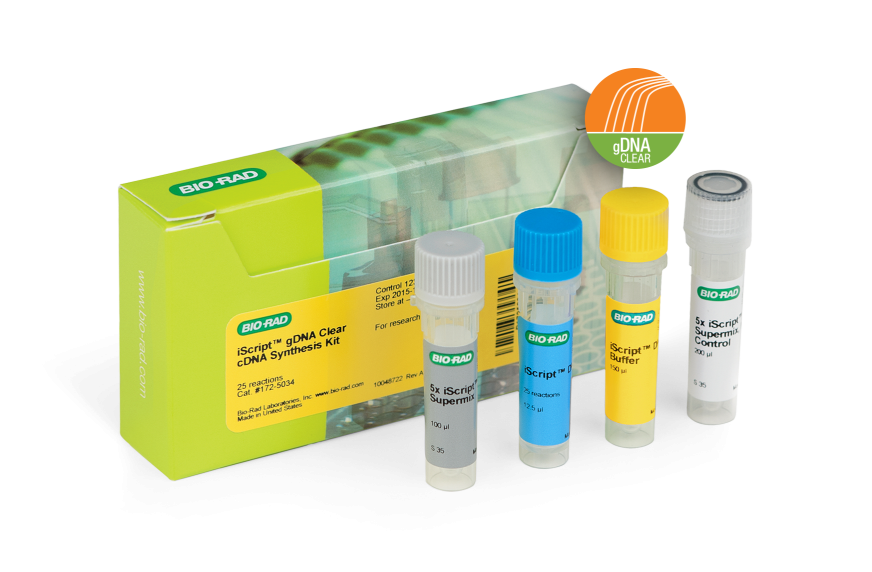 iScript™ gDNA Clear cDNA Synthesis Kit | Bio-Rad