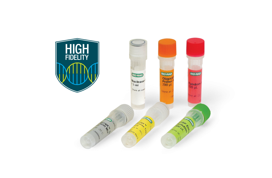 iScript™ Select cDNA Synthesis Kit | Bio-Rad