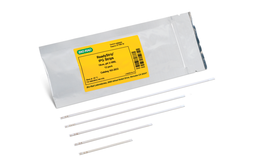 ReadyStrip™ IPG Strips | Bio-Rad