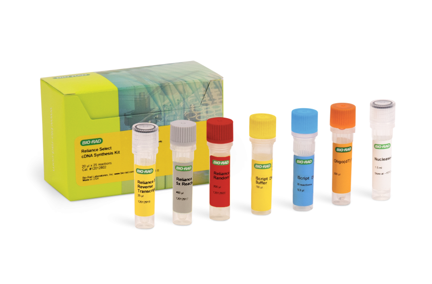 Reliance Select cDNA Synthesis Kit | Bio-Rad