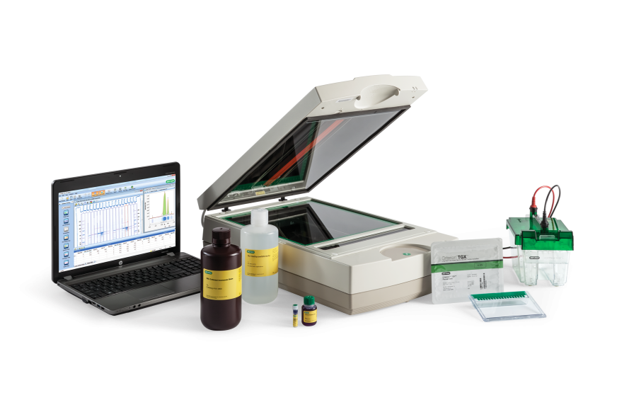 Biologics Analysis Workflow | Bio-Rad
