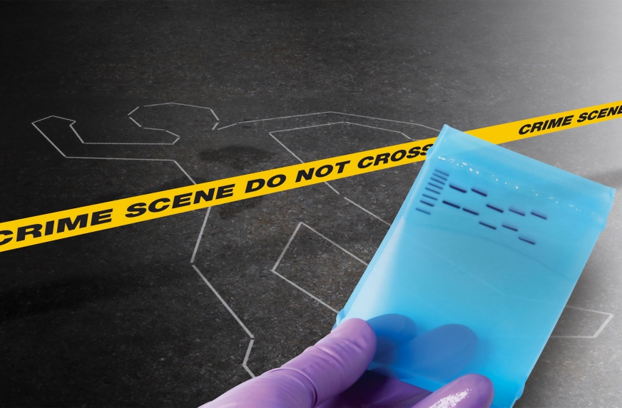 Crime Scene Investigator PCR Basics Kit | Bio-Rad