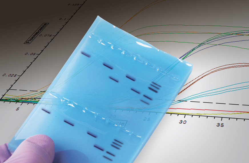 GMO Investigator Real-Time PCR Starter Kit | Bio-Rad