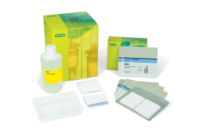 Trans-Blot Turbo Transfer Membranes and Filter Paper