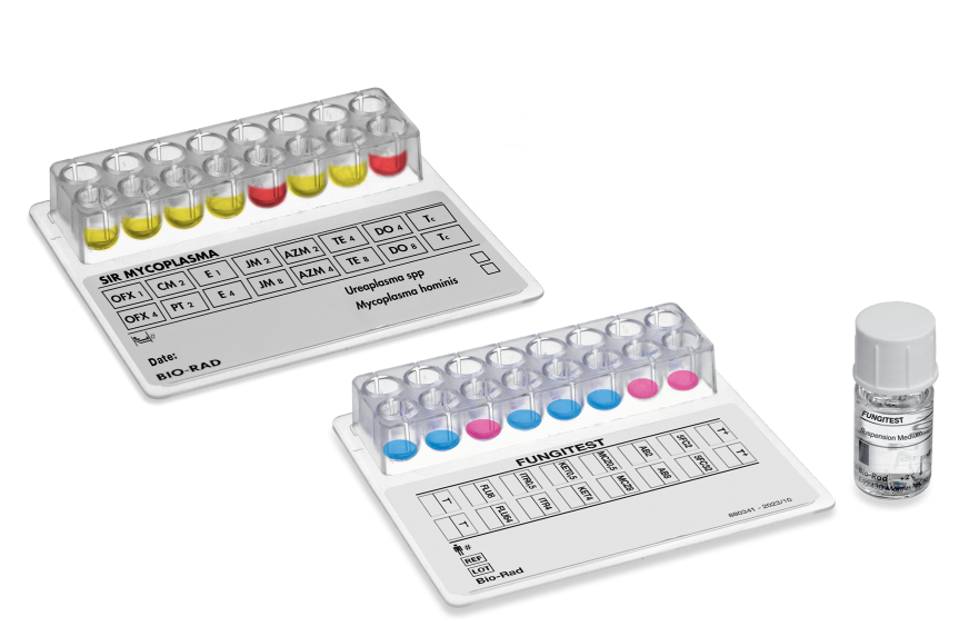 mycoplasma test