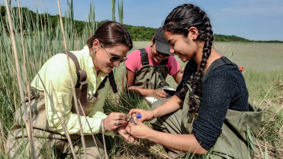 Genetic Engineering Kits — Bio-Rad