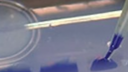 DNA, PCR & Agarose Gel Electrophoresis — Bio-Rad