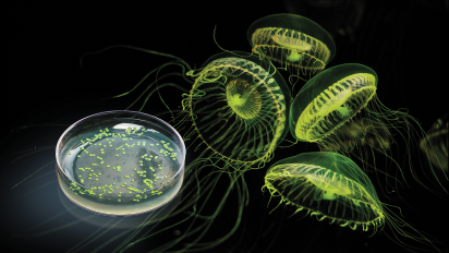 Genetic Engineering, Microbiology & Model Organisms | Bio-Rad