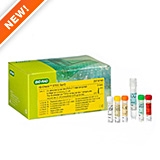 iQ-Check STEC PCR Detection Kits | Bio-Rad
