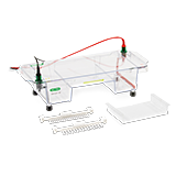 Sub-Cell GT Cell | Bio-Rad