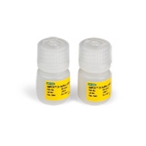 1-Step RT-ddPCR Advanced Kit for Probes | Bio-Rad