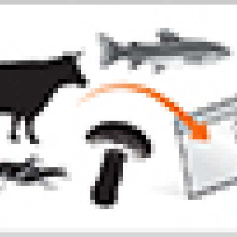 DNA Barcoding Kits | Bio-Rad Laboratories