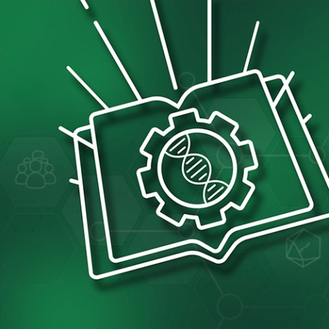 Your Guide to MIQE and dMIQE | Bio-Rad